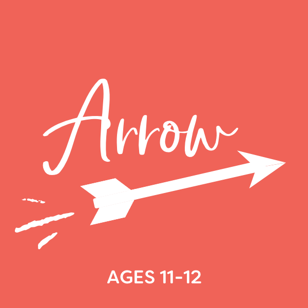Arrow Sample