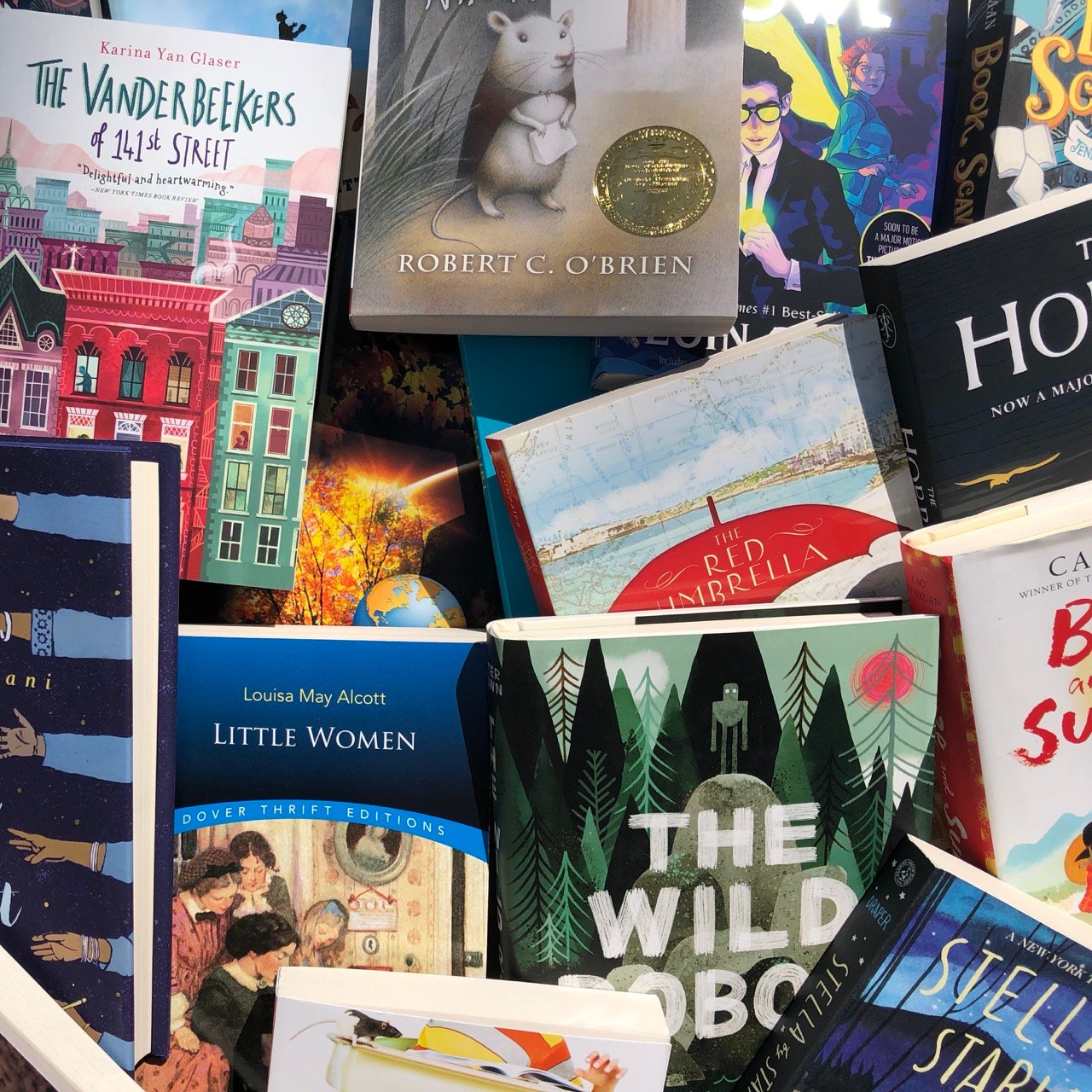 Brave Writer Dart, Arrow, Boomerang & Slingshot Book List